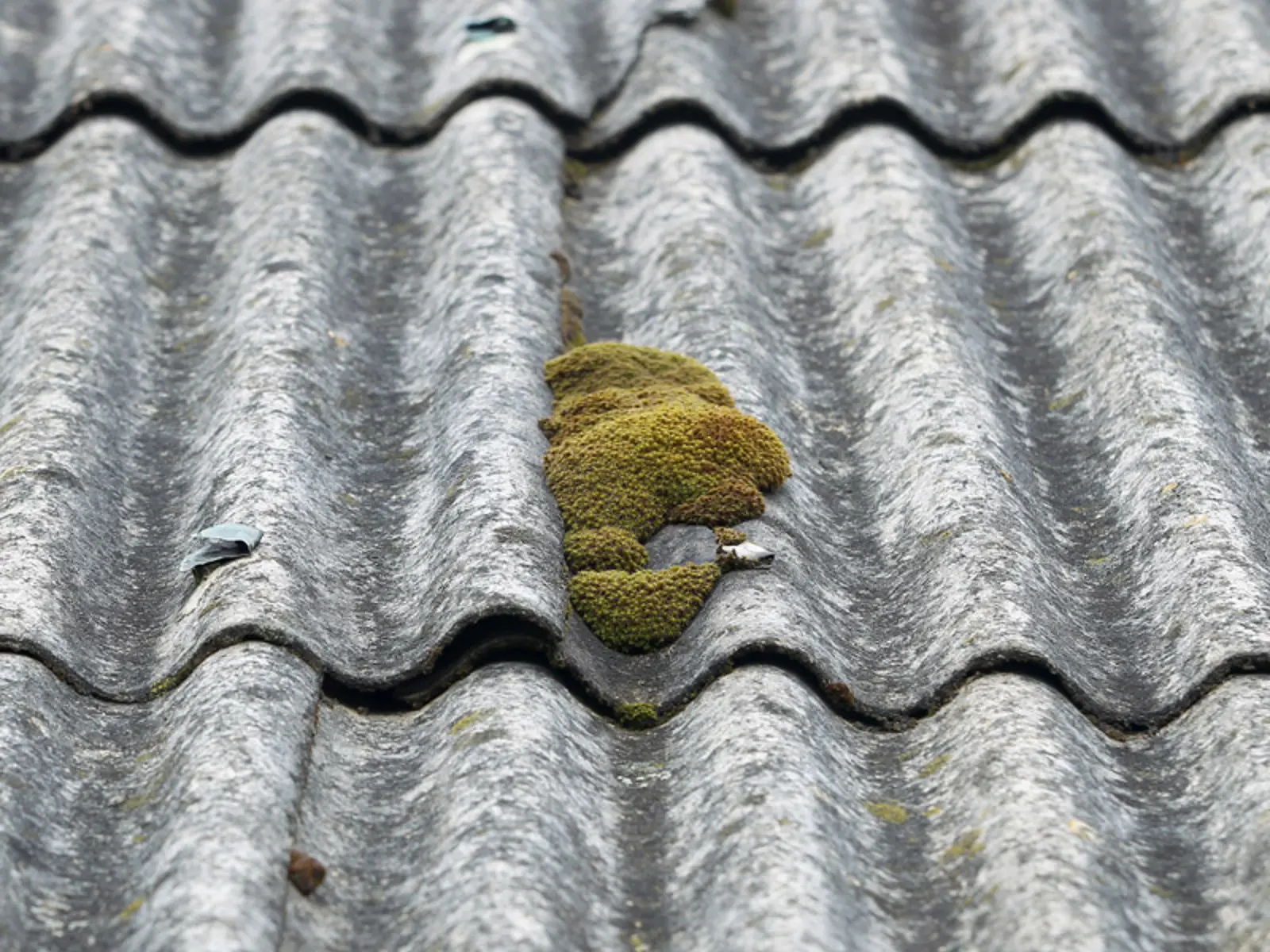 Thy Recycle | Affaldssortering, genbrugscenter og tømning af skraldespande